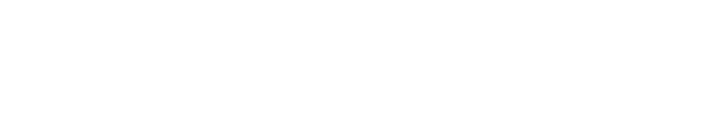 Our Story – Red Fin